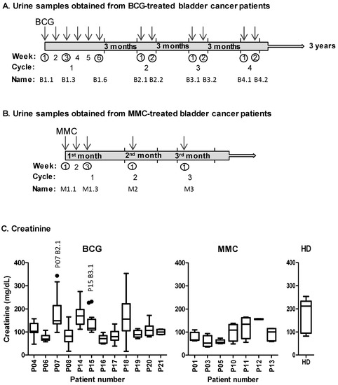 Cancers | Free Full-Text | BCG Therapy of Bladder Cancer Stimulates a ...