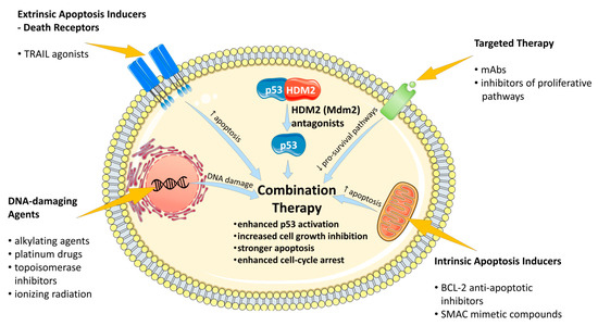 Helping the Released Guardian: Drug Combinations for Supporting the ...