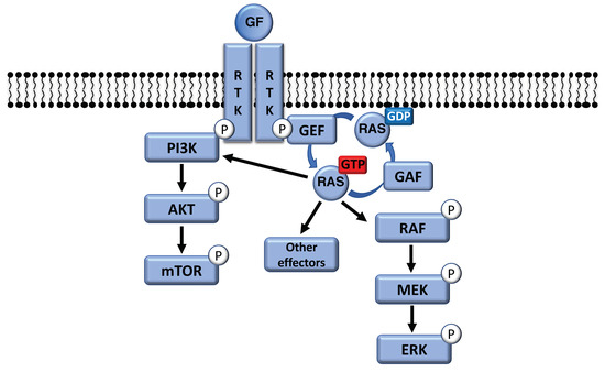 Atypical BRAF and NRAS Mutations in Mucosal Melanoma