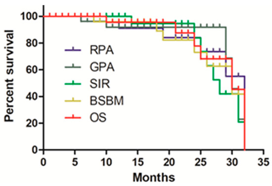 Mining Prognosis Index of Brain Metastases Using Artificial Intelligence
