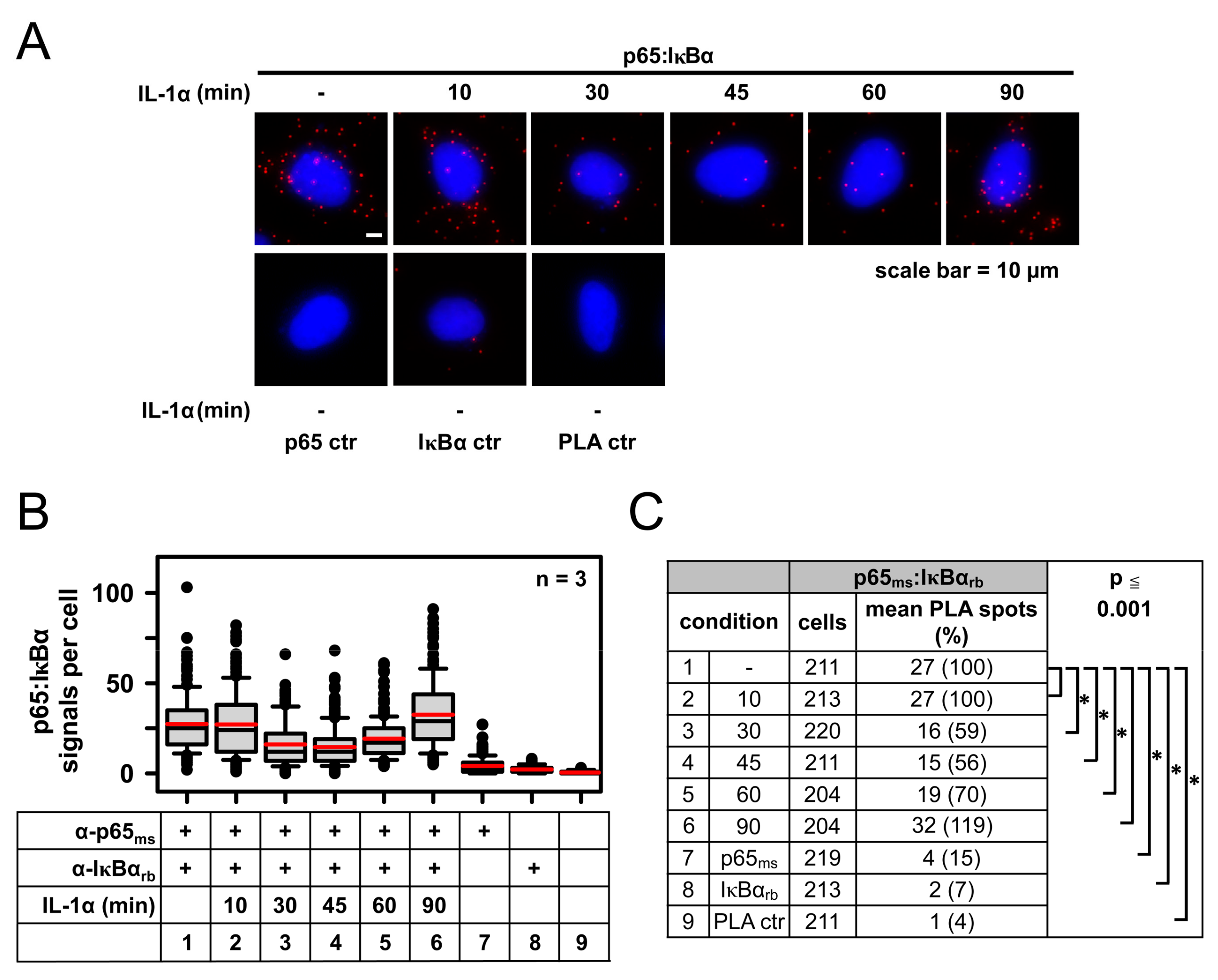 Single-Cell Analysis of Multiple Steps of Dynamic NF-?B Regulation in ...