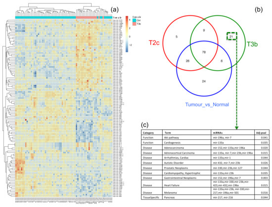 A Radiogenomic Approach for Decoding Molecular Mechanisms Underlying ...