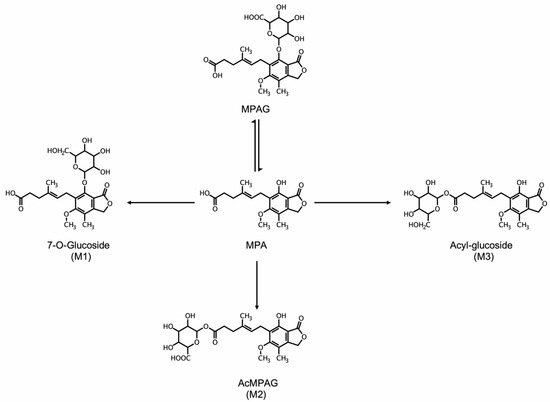 Anti-Tumor Potential of IMP Dehydrogenase Inhibitors: A Century-Long Story