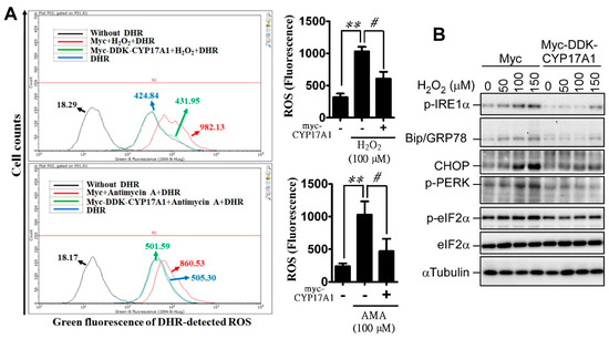 CYP17A1 Maintains the Survival of Glioblastomas by Regulating SAR1 ...