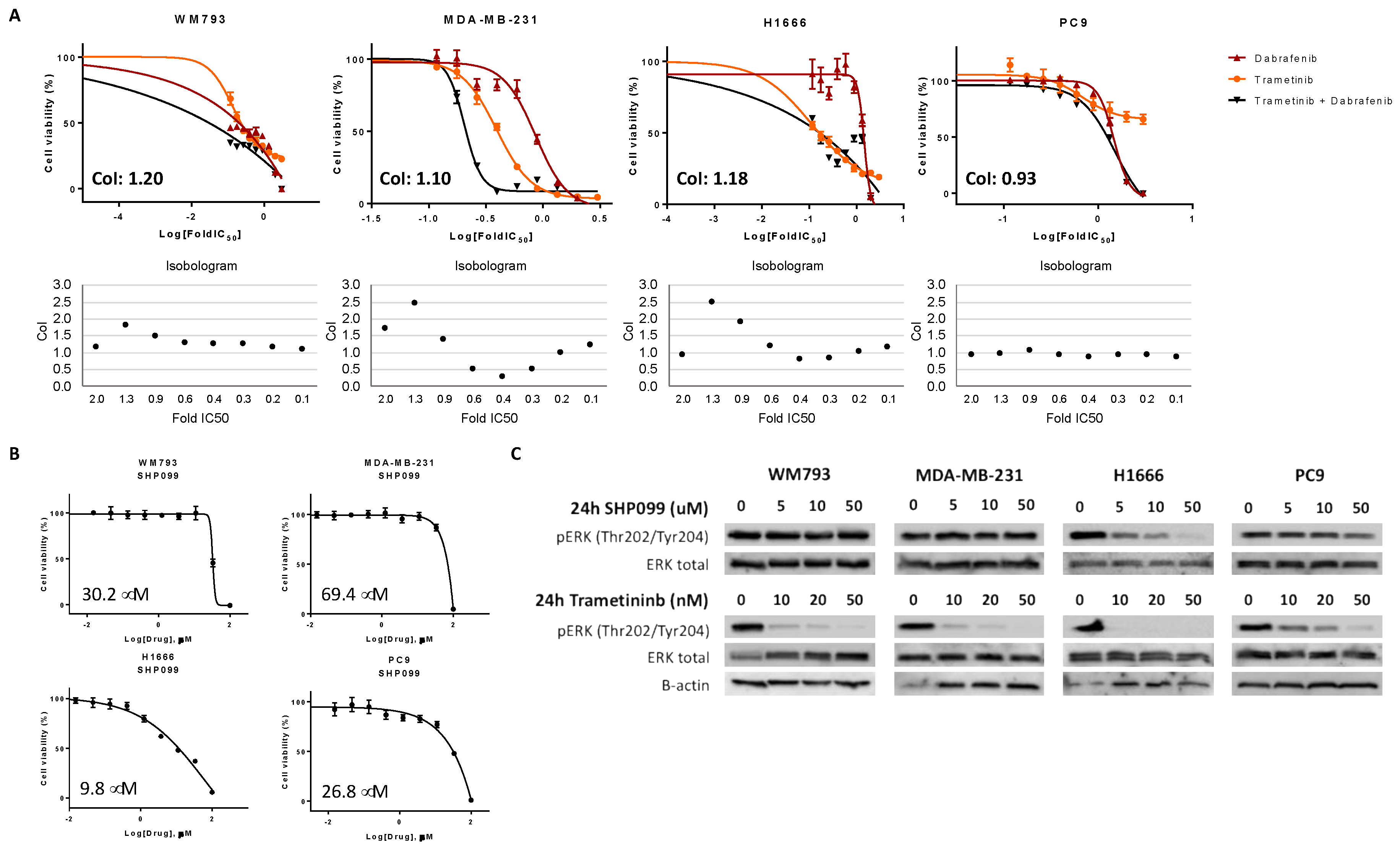 BRAF Mutations Classes I, II, and III in NSCLC Patients Included in the ...