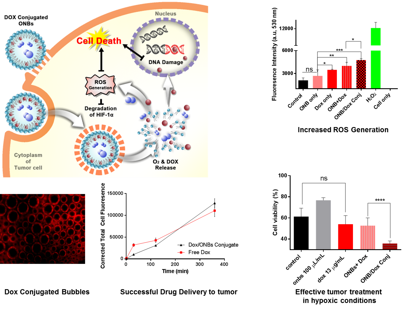Cancers | Free Full-Text | Anti-Tumor Drug-Loaded Oxygen Nanobubbles ...