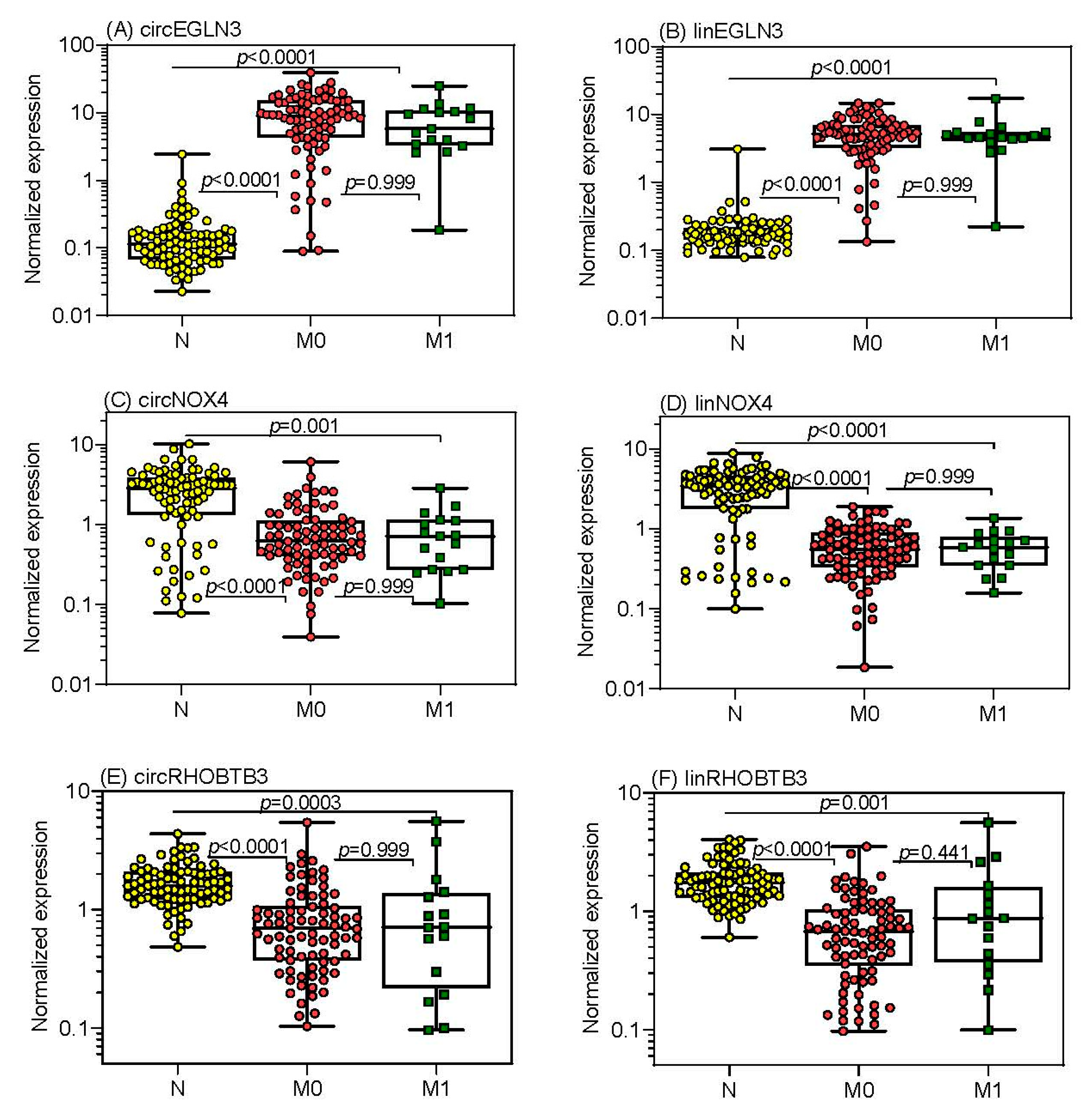 Circular RNAs in Clear Cell Renal Cell Carcinoma: Their Microarray ...