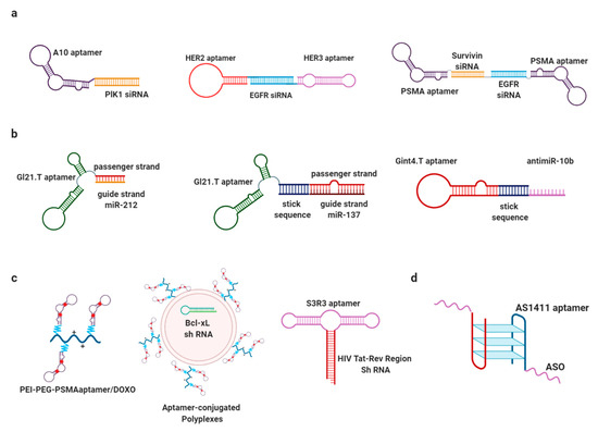 Potential and Challenges of Aptamers as Specific Carriers of ...