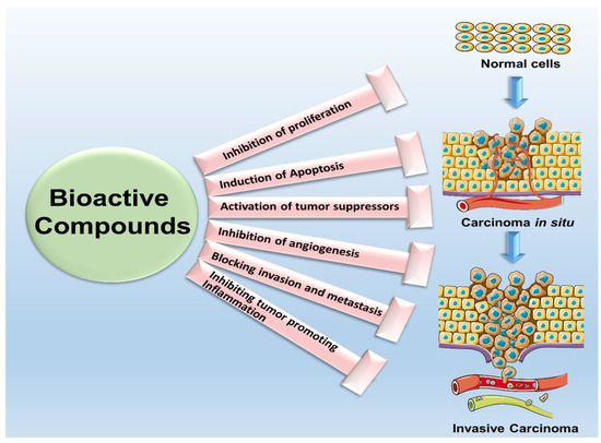 Bioactive Compounds: Multi-Targeting Silver Bullets for Preventing and ...