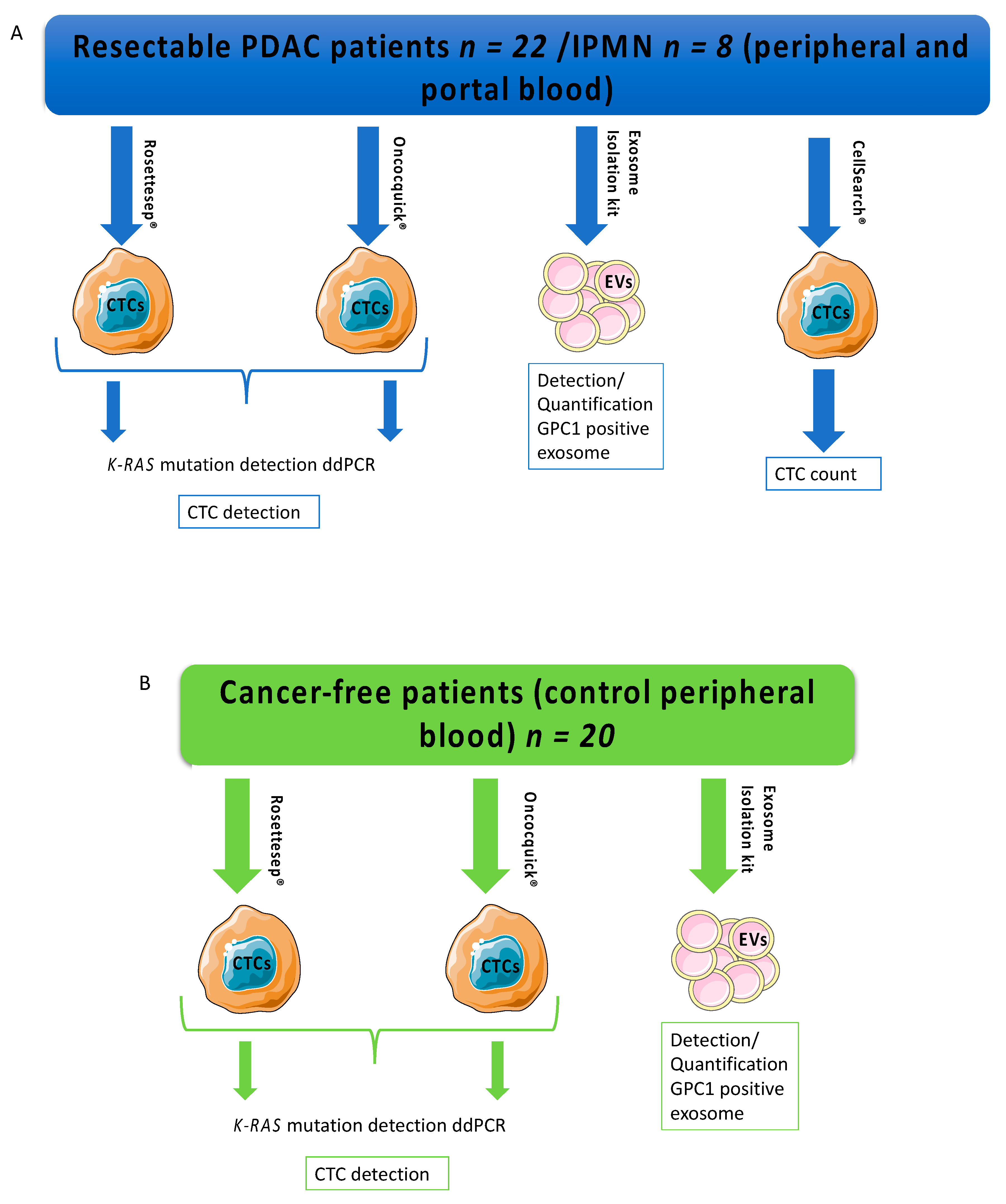 High Clinical Value of Liquid Biopsy to Detect Circulating Tumor Cells ...