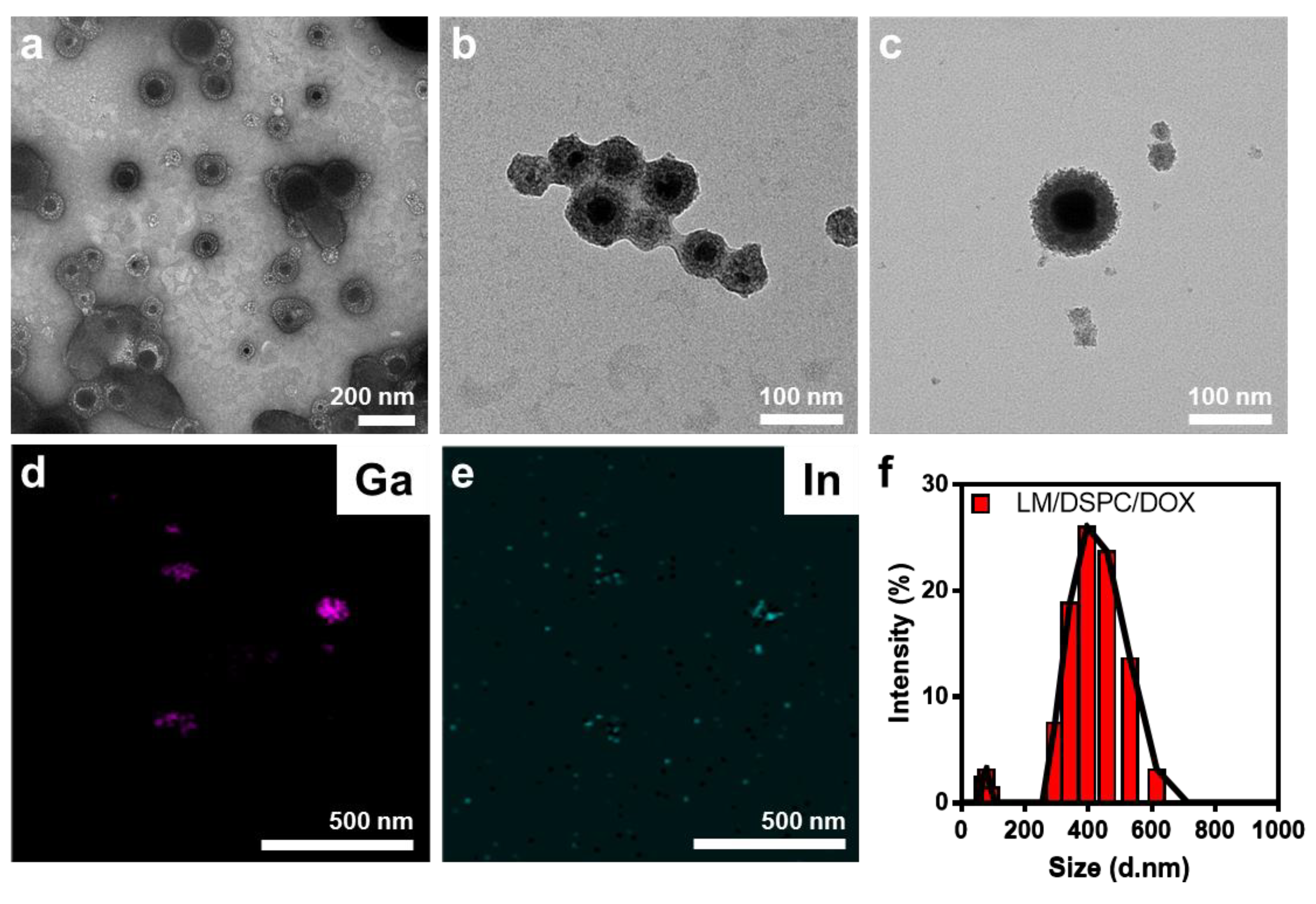 Effective Delivery of Anti-Cancer Drug Molecules with Shape ...