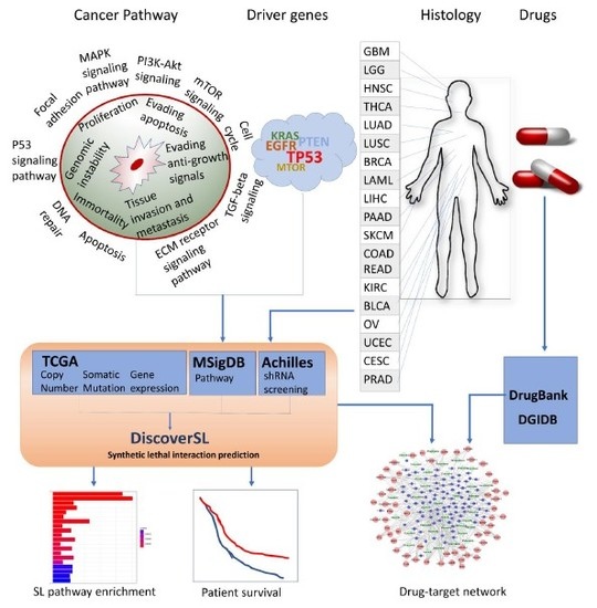 Cancers | Free Full-Text | SL-BioDP: Multi-Cancer Interactive Tool for Prediction of Synthetic ...
