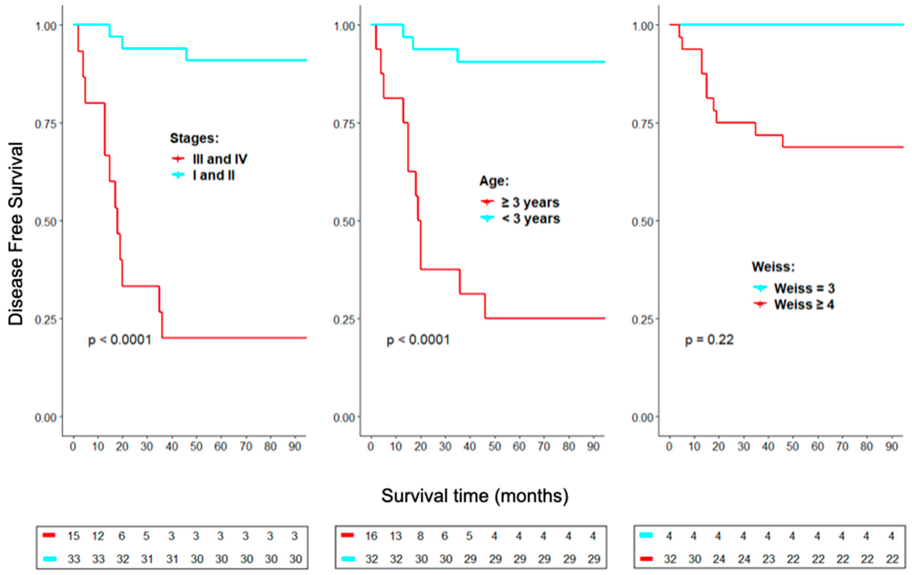 The Prognostic Role of CD8+ T Lymphocytes in Childhood Adrenocortical ...