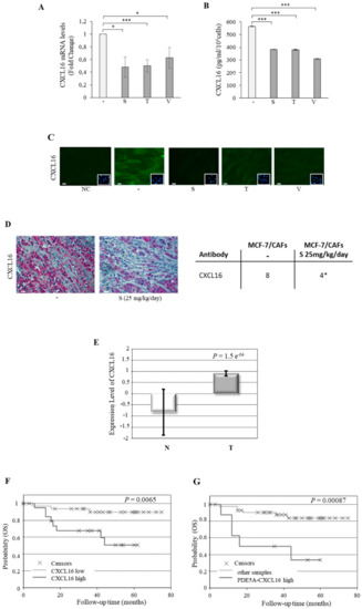 Phosphodiesterase 5 (PDE5) Is Highly Expressed in Cancer-Associated ...