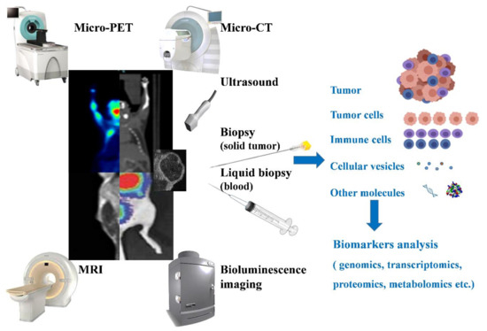 Mouse Models for Immunotherapy in Hepatocellular Carcinoma