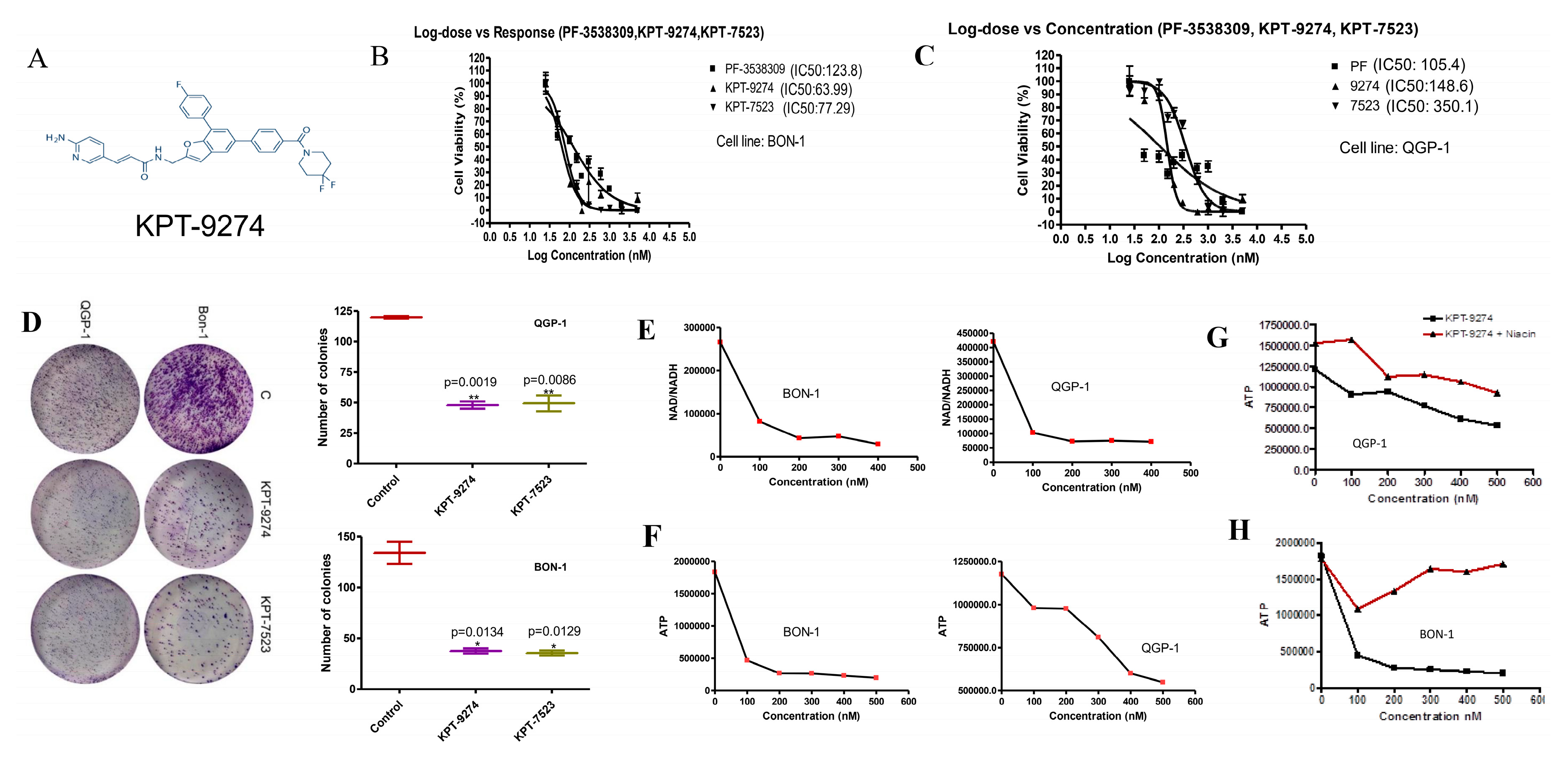 PAK4-NAMPT Dual Inhibition as a Novel Strategy for Therapy Resistant ...