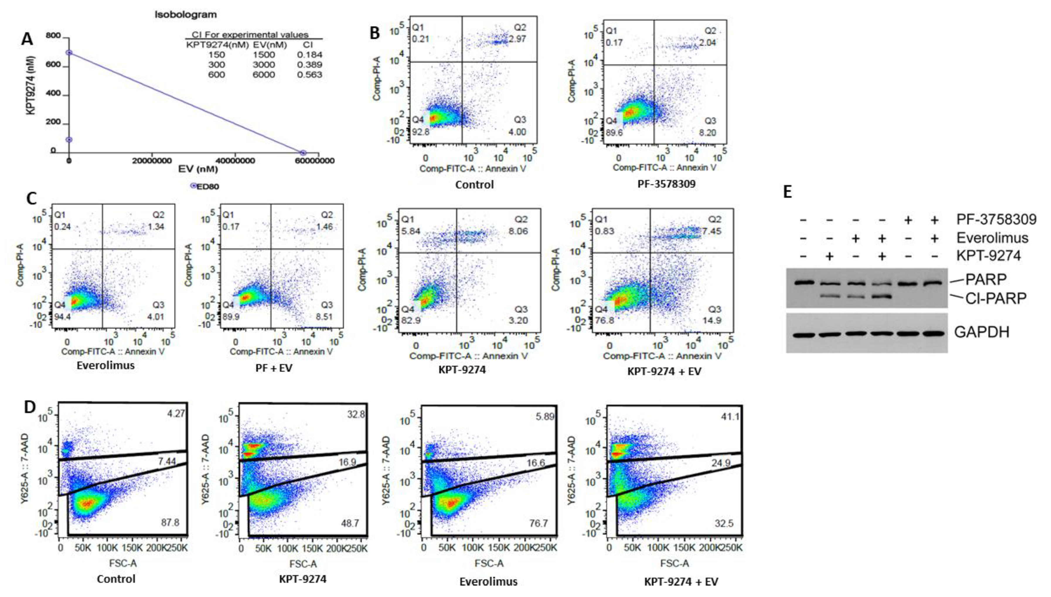 PAK4-NAMPT Dual Inhibition as a Novel Strategy for Therapy Resistant ...