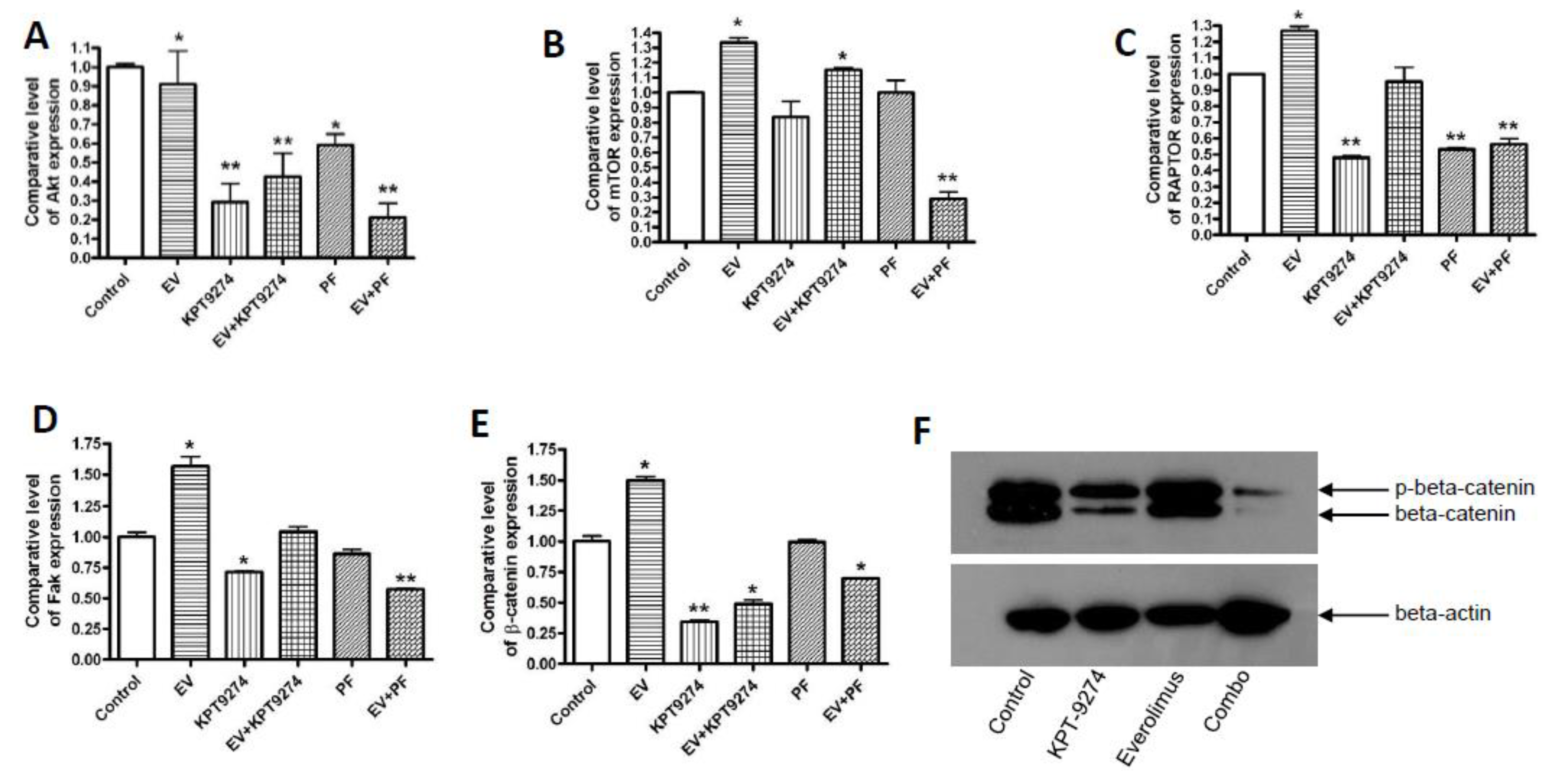 PAK4-NAMPT Dual Inhibition as a Novel Strategy for Therapy Resistant ...