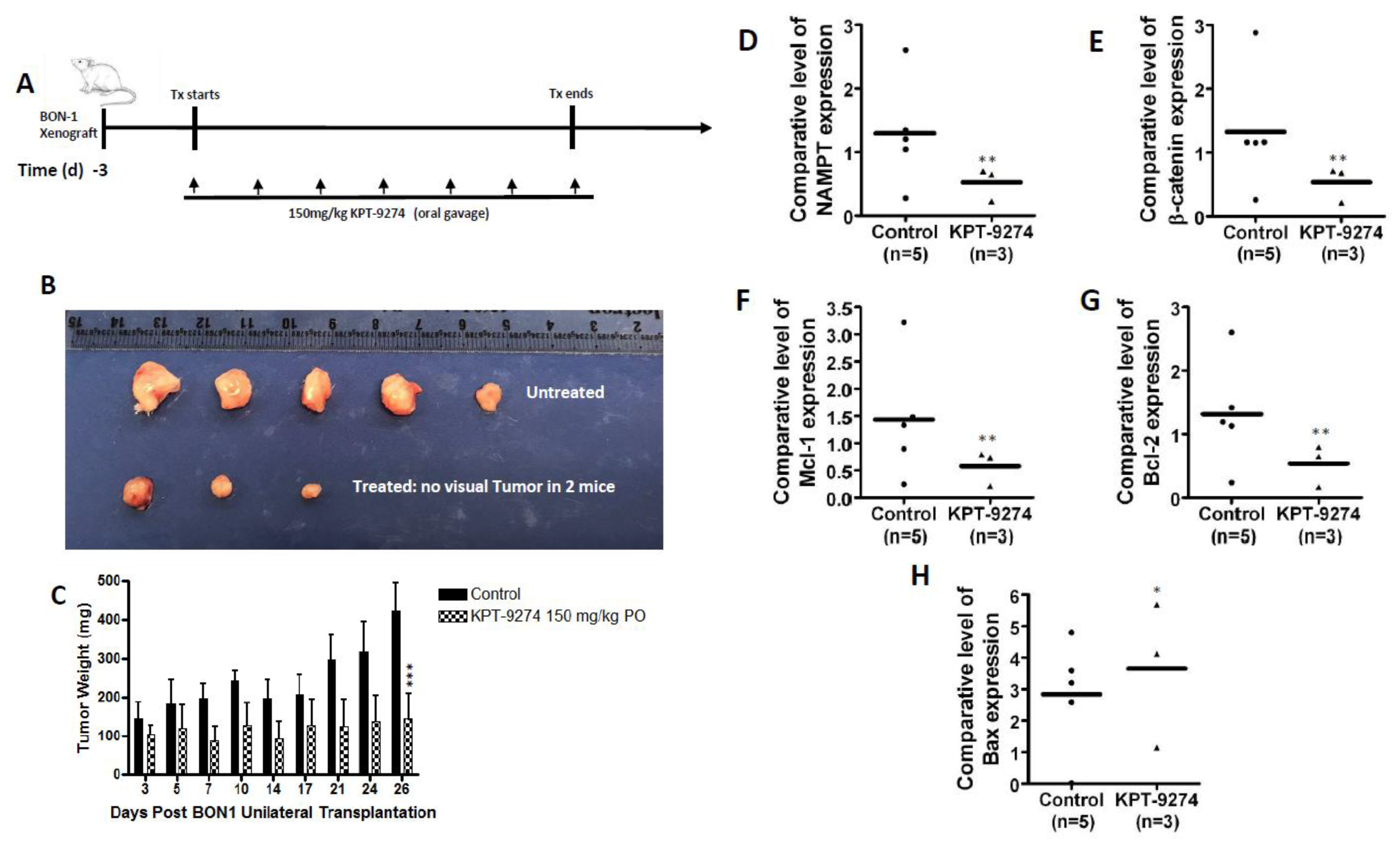 PAK4-NAMPT Dual Inhibition as a Novel Strategy for Therapy Resistant ...