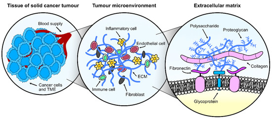 Modifying the Tumour Microenvironment: Challenges and Future ...