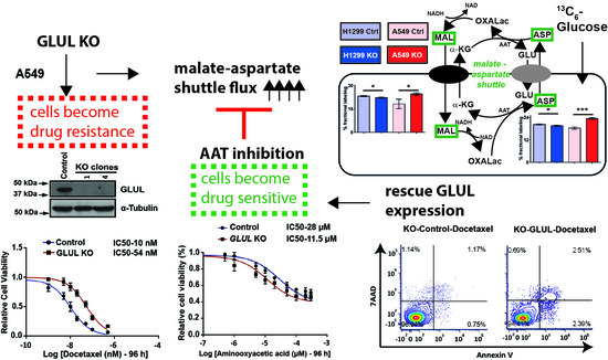 Cancers | Free Full-Text | GLUL Ablation Can Confer Drug Resistance to ...