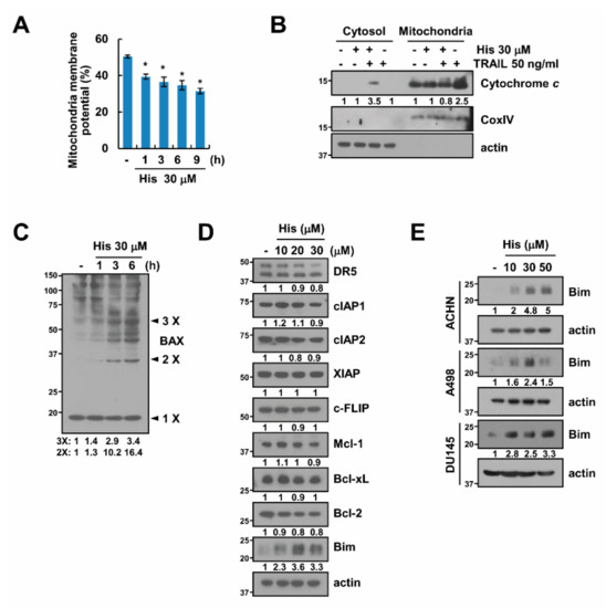 Hispidulin Enhances TRAIL-Mediated Apoptosis via CaMKKβ/AMPK/USP51 Axis ...