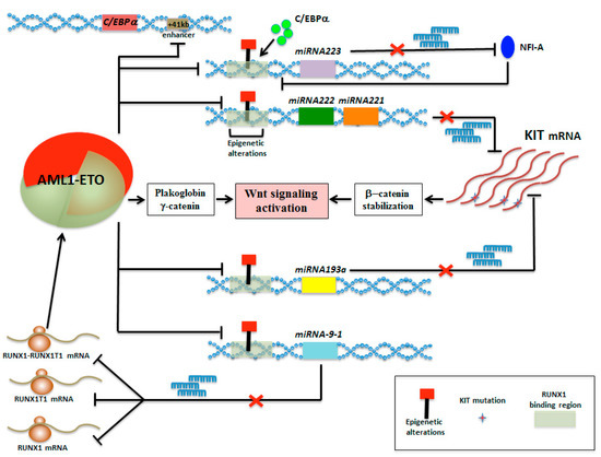 Core Binding Factor Leukemia: Chromatin Remodeling Moves Towards ...