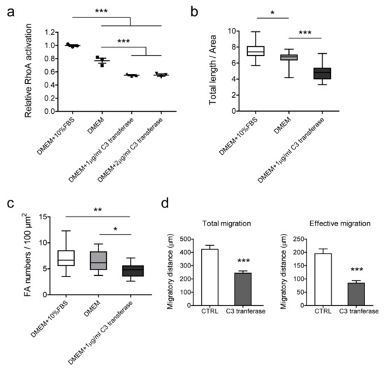 CREPT Promotes Melanoma Progression Through Accelerated Proliferation ...