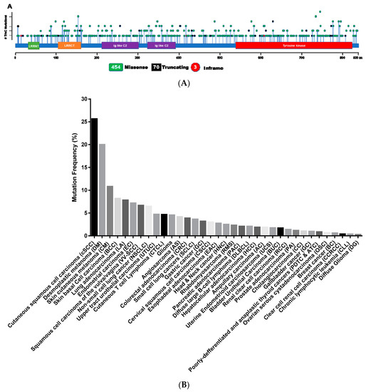 Roles of TrkC Signaling in the Regulation of Tumorigenicity and ...