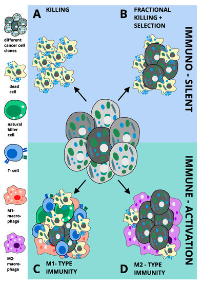 Ferroptosis in Cancer Cell Biology