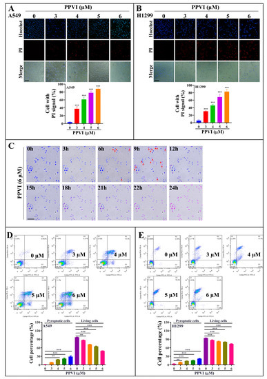 Polyphyllin VI Induces Caspase-1-Mediated Pyroptosis via the Induction ...