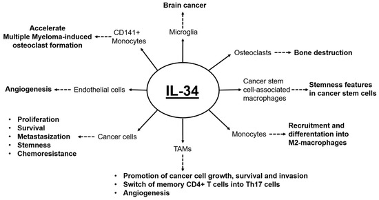 Role of Interleukin-34 in Cancer