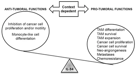 Role of Interleukin-34 in Cancer