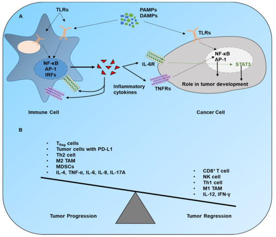 Toll-like Receptors from the Perspective of Cancer Treatment
