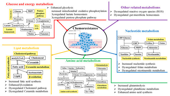 Targeting Cancer Metabolism to Resensitize Chemotherapy: Potential ...