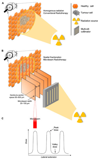 Animal Models in Microbeam Radiation Therapy: A Scoping Review