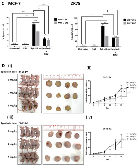 A Splice Variant of NCOR2, BQ323636.1, Confers Chemoresistance in ...