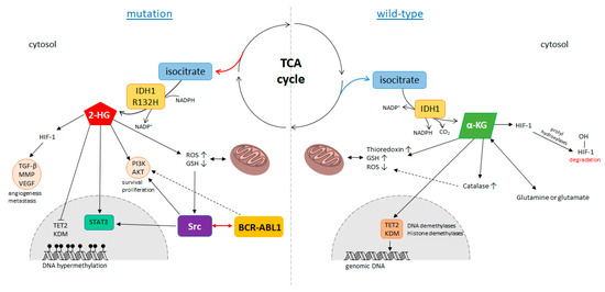 The Landscape of the Anti-Kinase Activity of the IDH1 Inhibitors