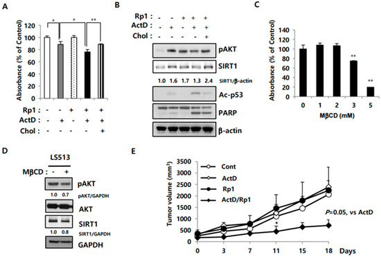 Ginsenoside Rp1, A Ginsenoside Derivative, Augments Anti-Cancer Effects ...