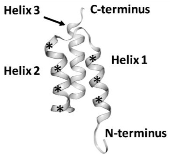 Affibody Molecules as Targeting Vectors for PET Imaging