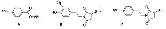 Affibody Molecules as Targeting Vectors for PET Imaging