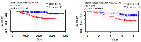 Gene Expression Alterations and Molecular Analysis of CHEK1 in Solid Tumors