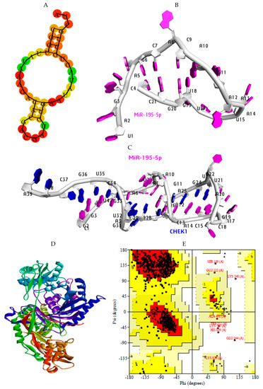 Gene Expression Alterations and Molecular Analysis of CHEK1 in Solid Tumors