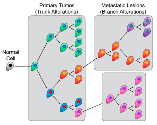 Chromosome Instability; Implications in Cancer Development, Progression ...