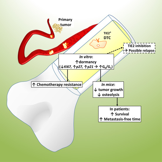 Cancers | Special Issue : Targeting Bone Metastasis in Cancers