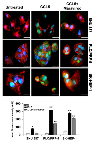 Biological and Clinical Significance of the CCR5/CCL5 Axis in ...