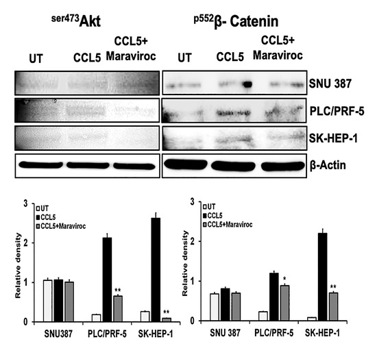 Biological and Clinical Significance of the CCR5/CCL5 Axis in ...