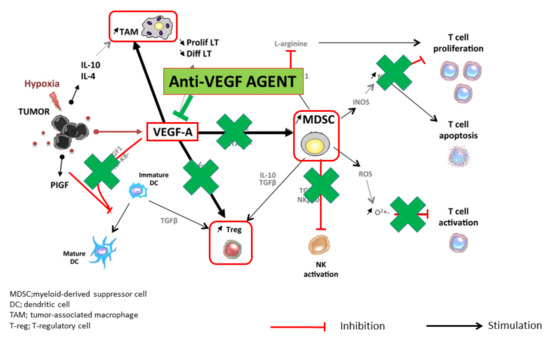 Scientific Rationale for Combined Immunotherapy with PD-1/PD-L1 Antibodies and VEGF Inhibitors ...