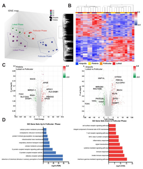 Integrative Transcriptome Analyses of the Human Fallopian Tube: Fimbria ...