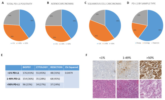 Improving the Diagnostic Accuracy of the PD-L1 Test with Image Analysis ...